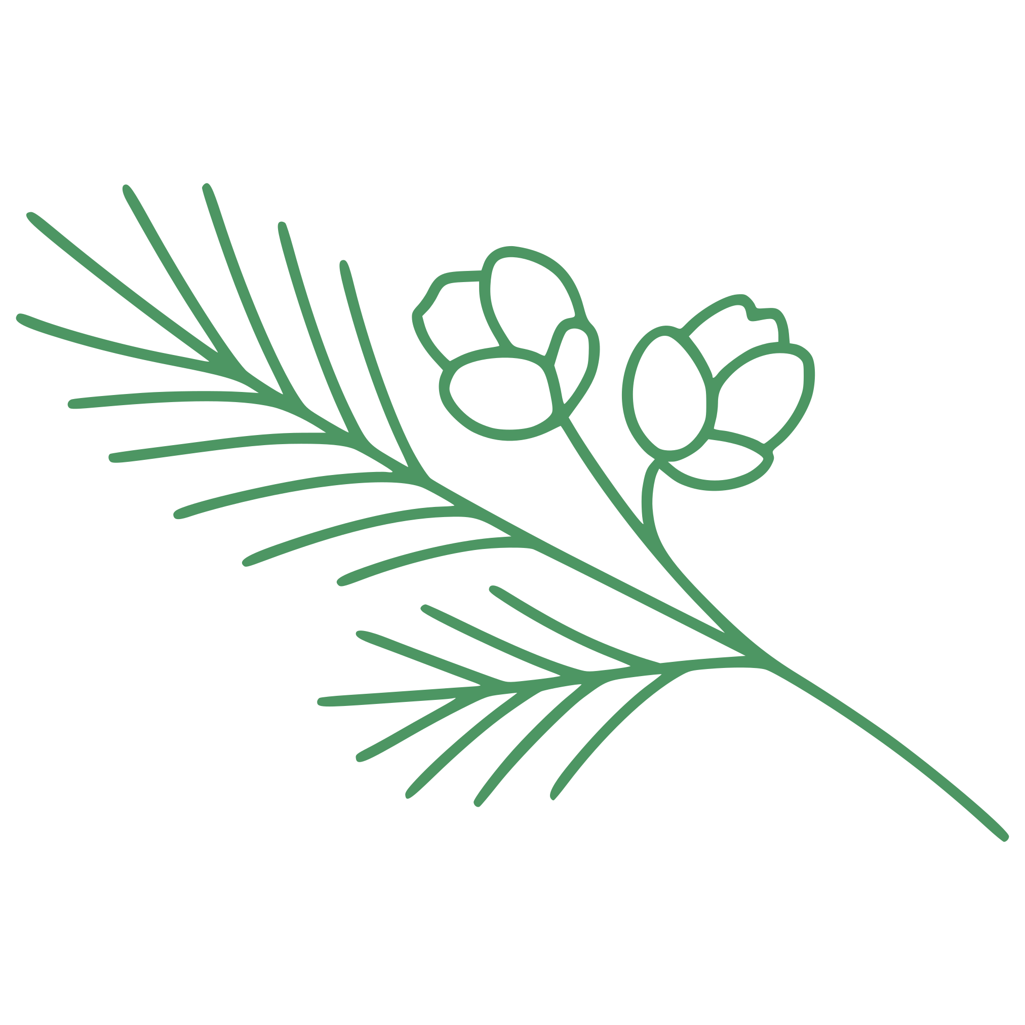 Cedar West Consulting